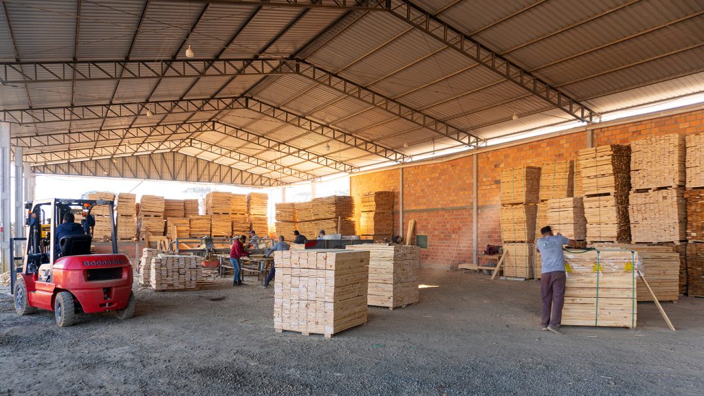 Pallets Castillo Brasil – Maderas Vicente Castillo e Hijos S.L.